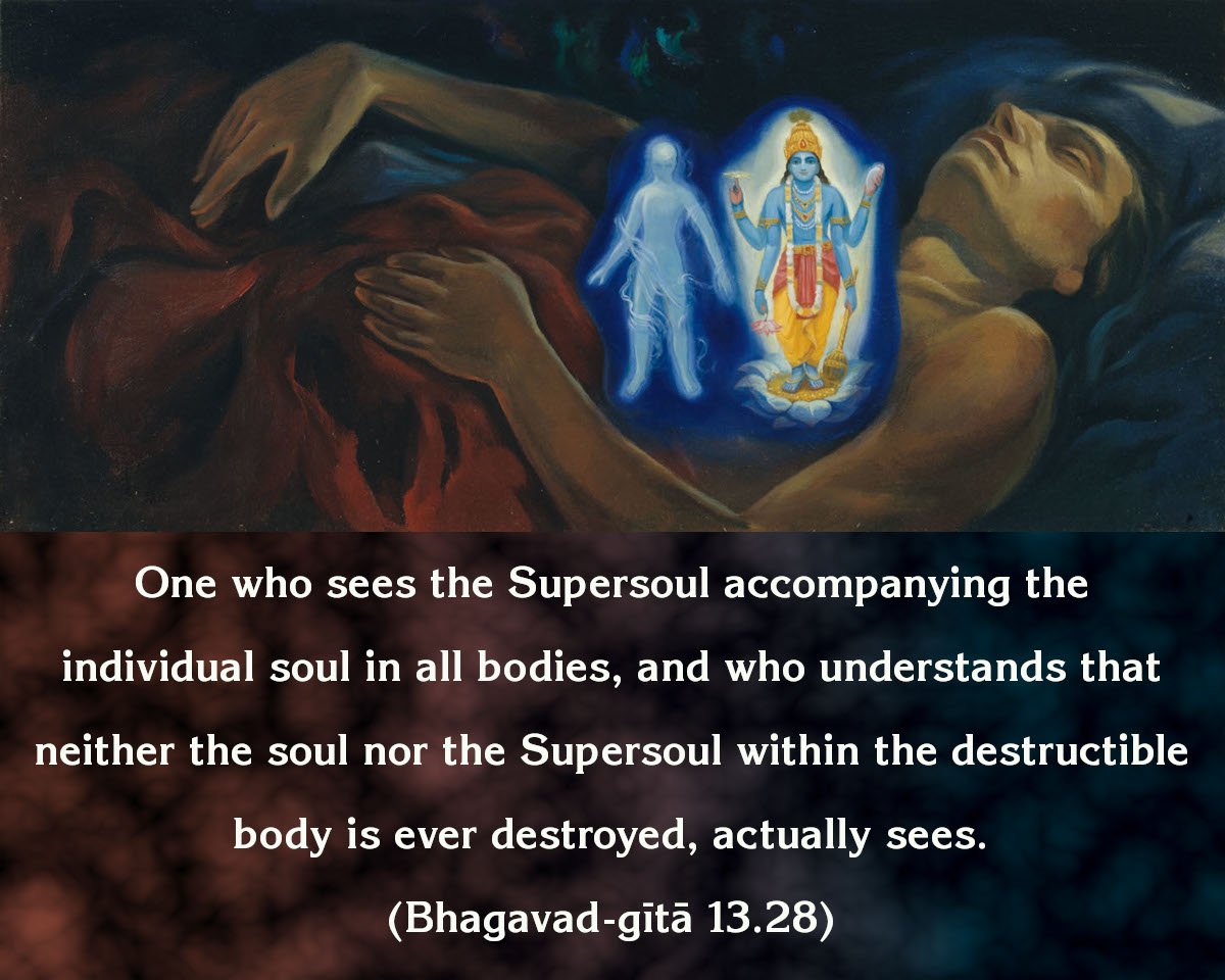 Bhagavad Gita: Chapter 13, Verse 28 - VivekaVani